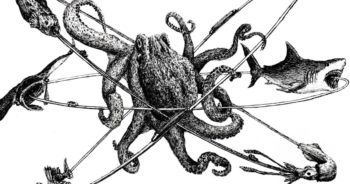 Torus-Shaped Objects Drawing Guide - Ran Art Blog